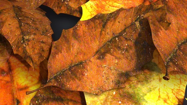 Decomposed tree, plant leaves Stock Photo by ©sciencepics 124933618