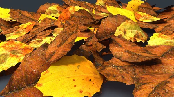 Decomposed tree, plant leaves Stock Photo by ©sciencepics 124933618