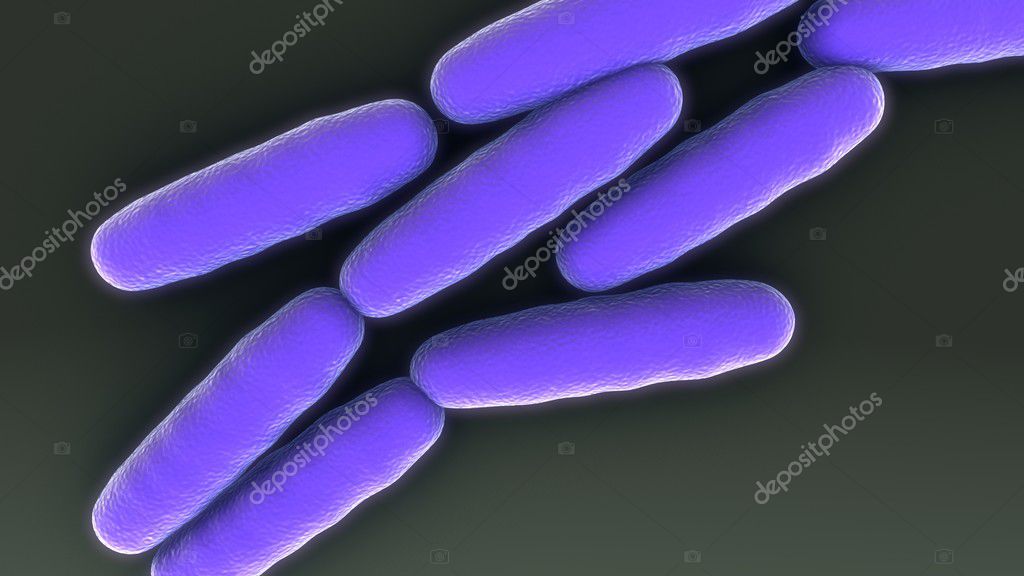 Bacteria, microbes Multiplication Stock Photo by ©sciencepics 124932612