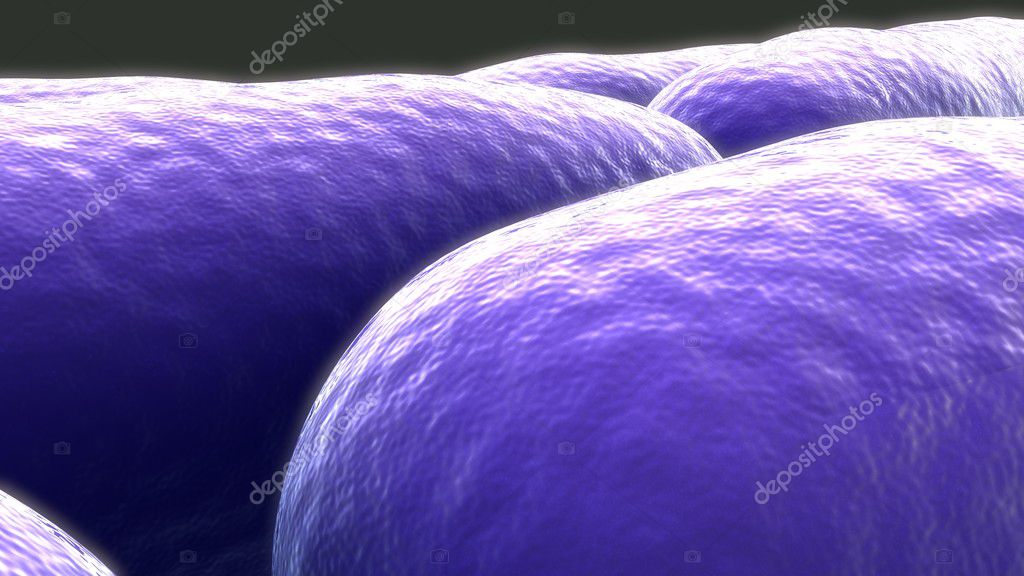 Bacteria, microbes Multiplication Stock Photo by ©sciencepics 124932616