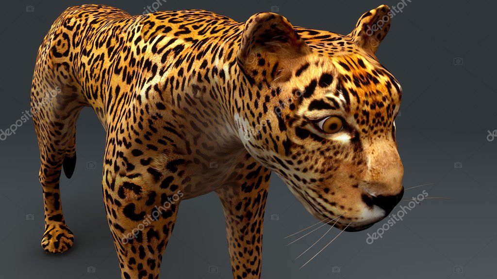 Cheetah, leopard animal — Stock Photo © sciencepics #124933100