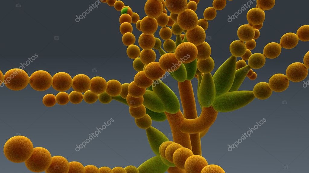Conidias, clamidosporas del hongo — Foto de stock © sciencepics #124933370