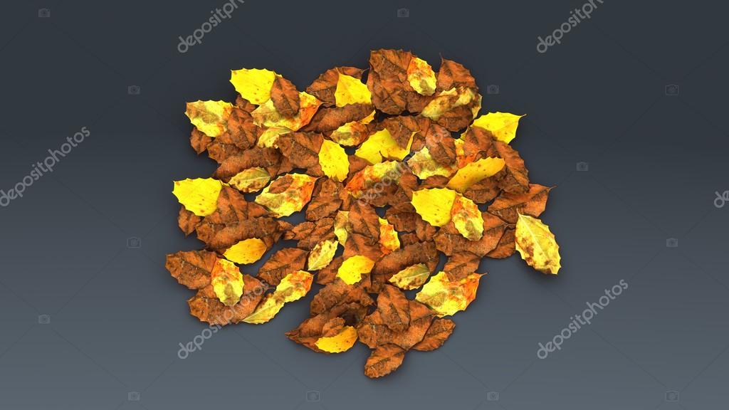 Decomposed tree, plant leaves Stock Photo by ©sciencepics 124933618