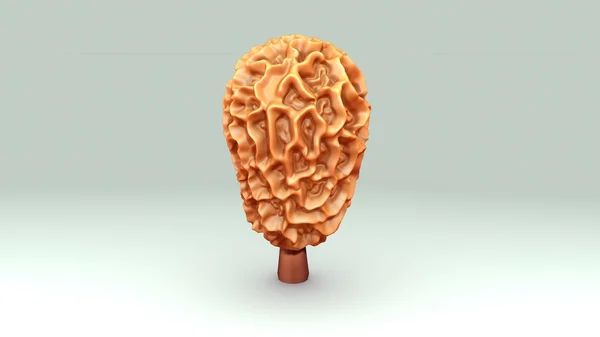 ᐈ Phycomycetes stock images, Royalty Free phycomycetes photos ...