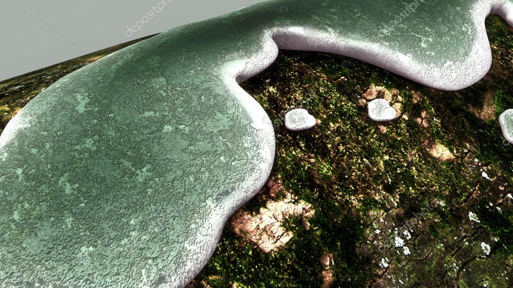 Hongos cultivables Trichoderma 2022