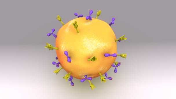 Plasma cell anatomy — Stock Video © sciencepics #126086734