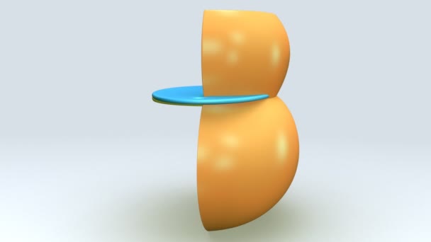 Human Gastrulation Animation