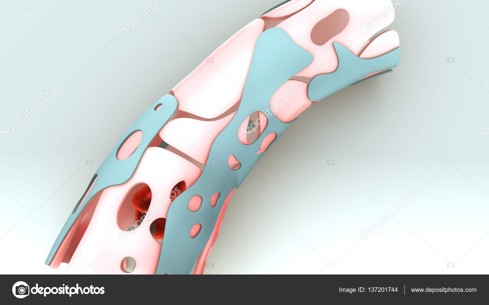 Capillary walls with cells — Stock Photo © sciencepics #137201744