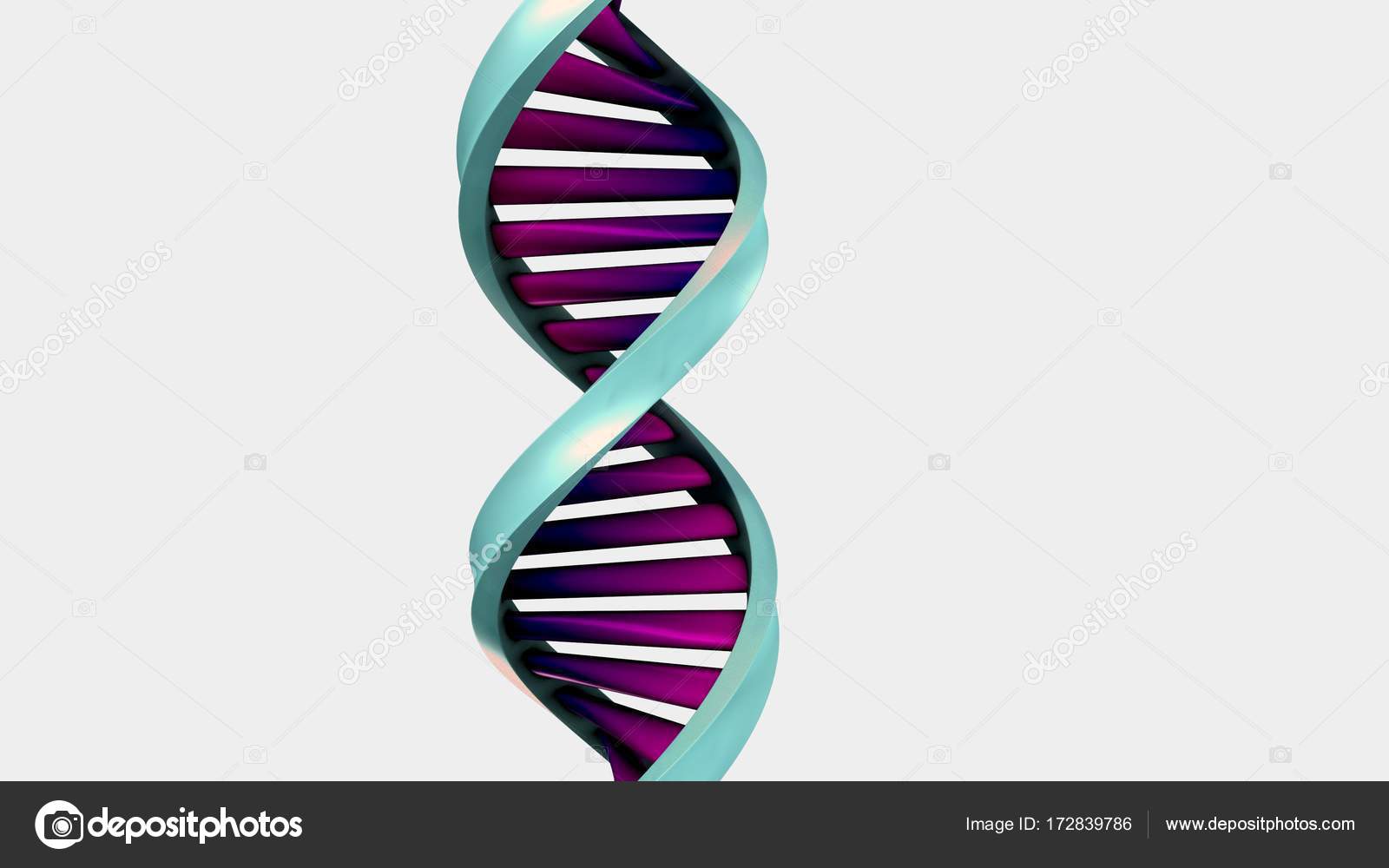Human DNA structure Stock Photo by ©sciencepics 172839786