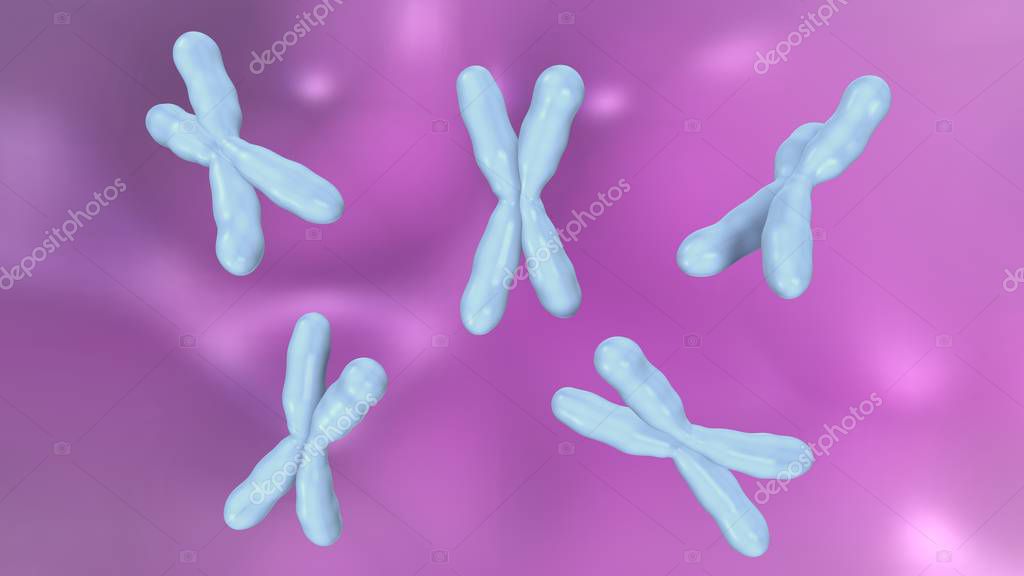 Estructura del ADN humano 2022