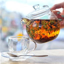 Tea plants Stock Photos, Royalty Free Tea plants Images | Depositphotos