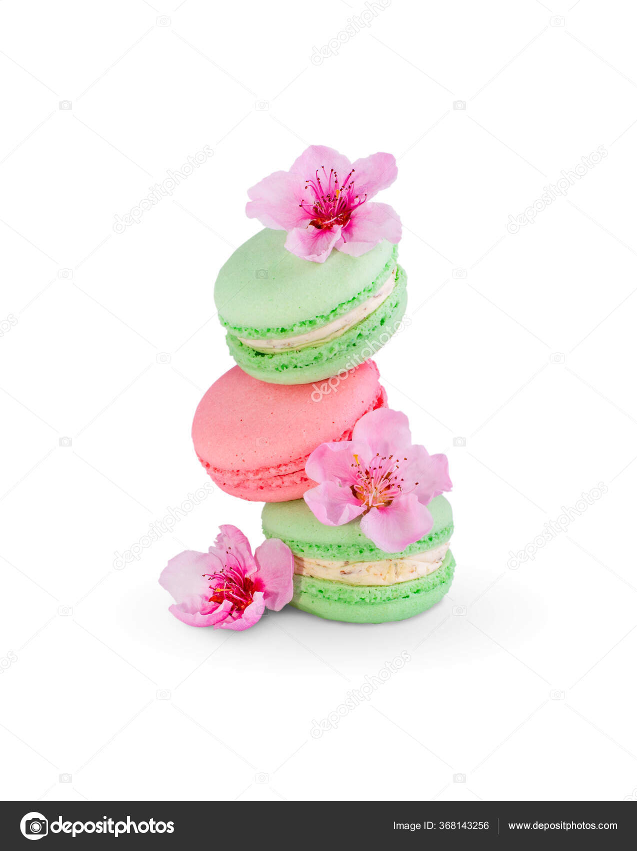 Macaroons Isolated White Background Spring Flower — Stock Photo ...
