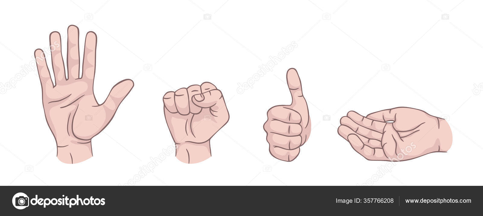 Gestos Mano Aislados Palma Puño Pulgar Hacia Arriba Mano Tapada Vector ...