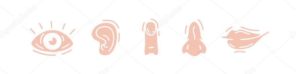 Cinco iconos de sentidos humanos establecidos. Visión, oído, tacto ...
