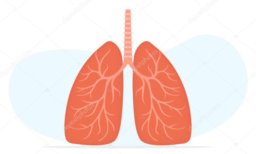 Pulmones vector estilo ilustración, tráquea humana 2023