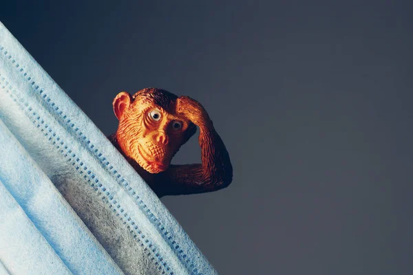 Sick monkey Stock Photos, Royalty Free Sick monkey Images | Depositphotos