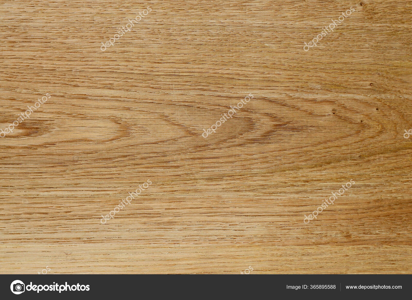 Texture Surface Cut Natural Tree Background Blank Substrate Design ...