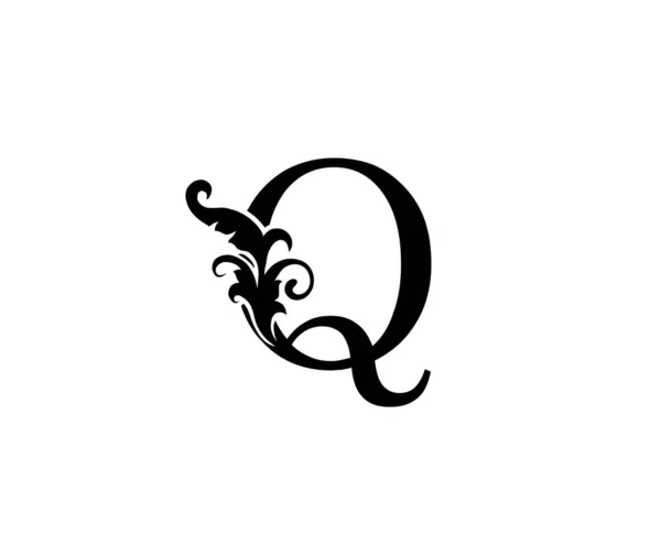 Letter Q Designs Premium Vector | Letter Q Vector Brand Identity