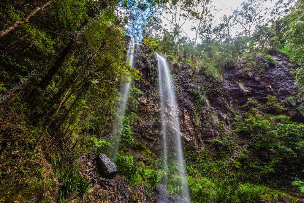 Cataratas gemelas en la selva tropical del Parque Nacional Springbrook ...