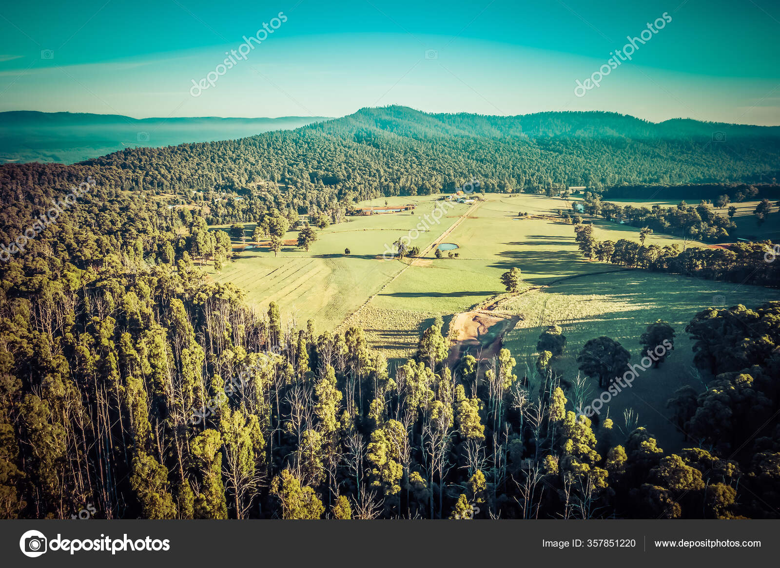 Grasslands Of Western Victoria at James Hillier blog