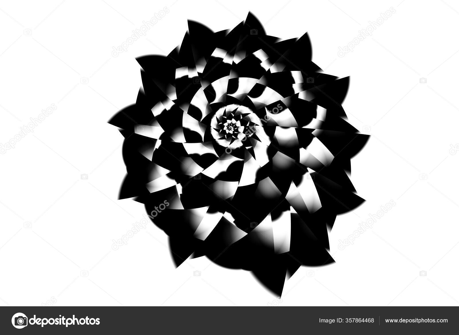 Seashell Spiral Swirled Artwork Black White — Stock Photo © gregbrave ...