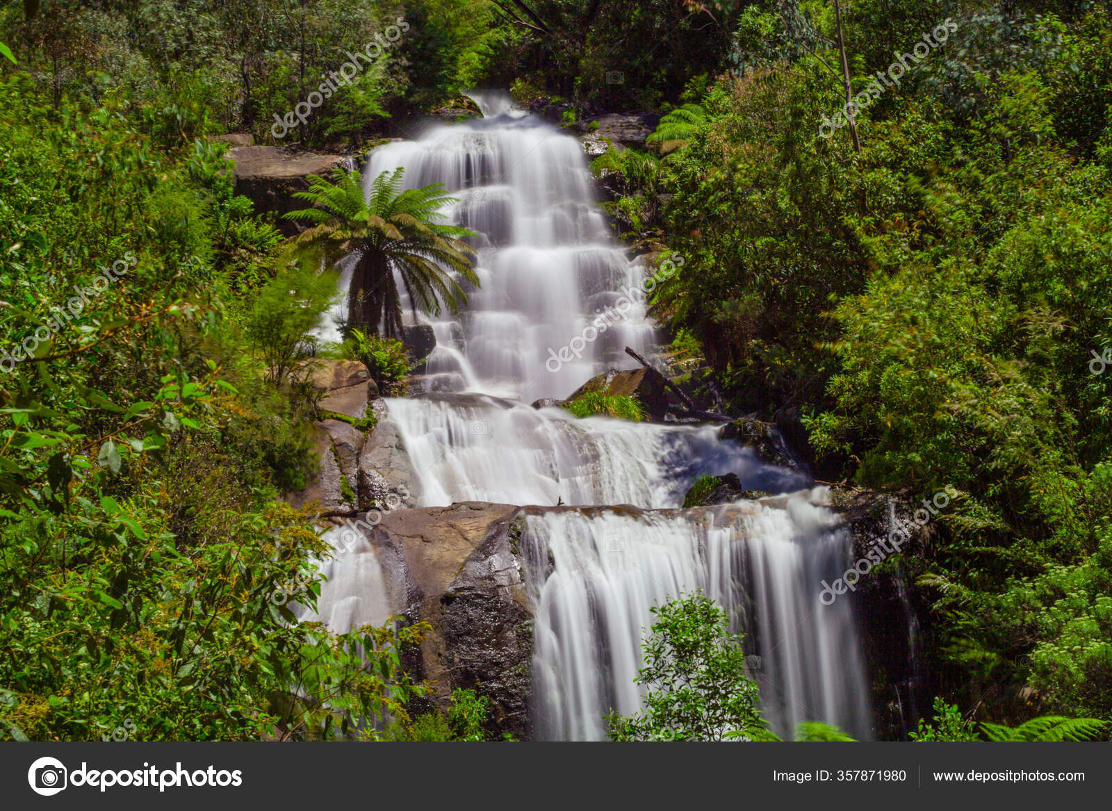 Beautiful Fainter Falls Native Australian Forest Kiewa Valley Victoria ...