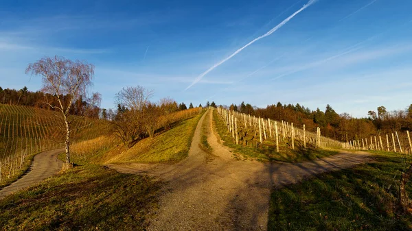 Hillside heights Stock Photos, Royalty Free Hillside heights Images ...