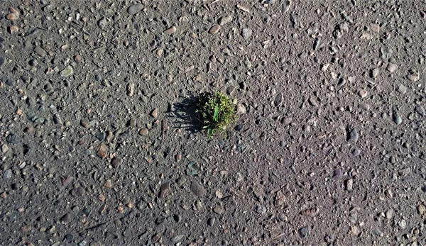 Path obstruction fotos de stock, imágenes de Path obstruction sin ...