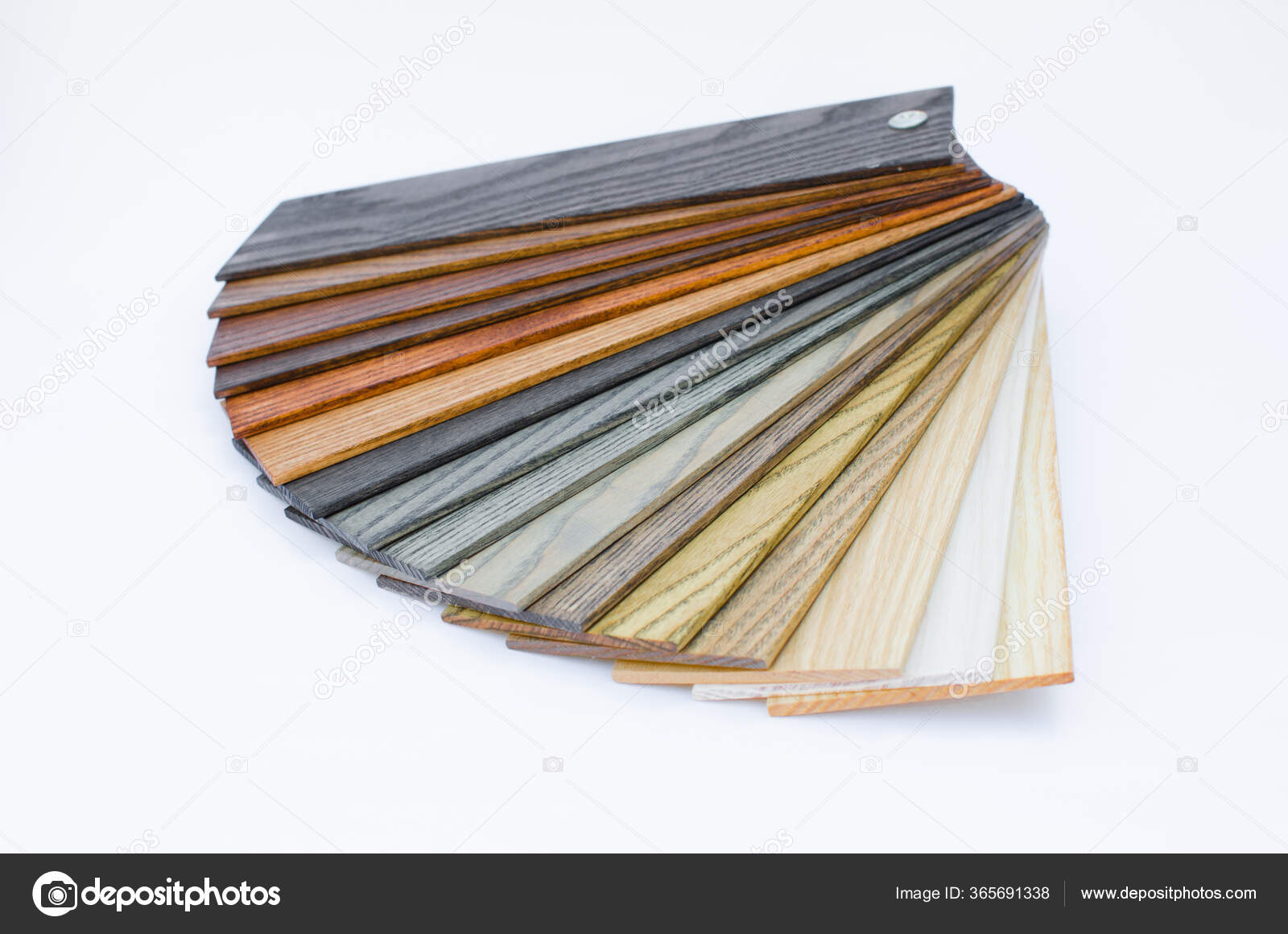 Color Wood Samples Catalog Wood Materials Design Light Background ...