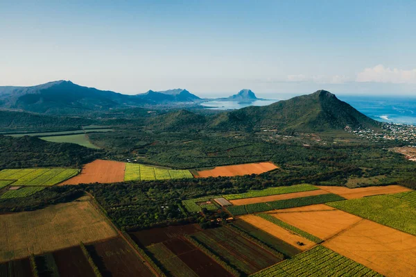 Watercress plantations Stock Photos, Royalty Free Watercress ...