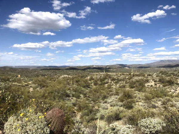 Beautiful arizona desert Stock Photos, Royalty Free Beautiful arizona ...