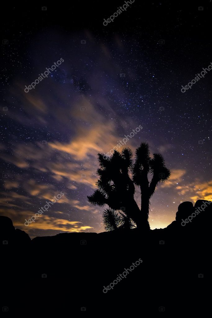 Desert At Night — Stock Photo © innovatedcaptures #125131322