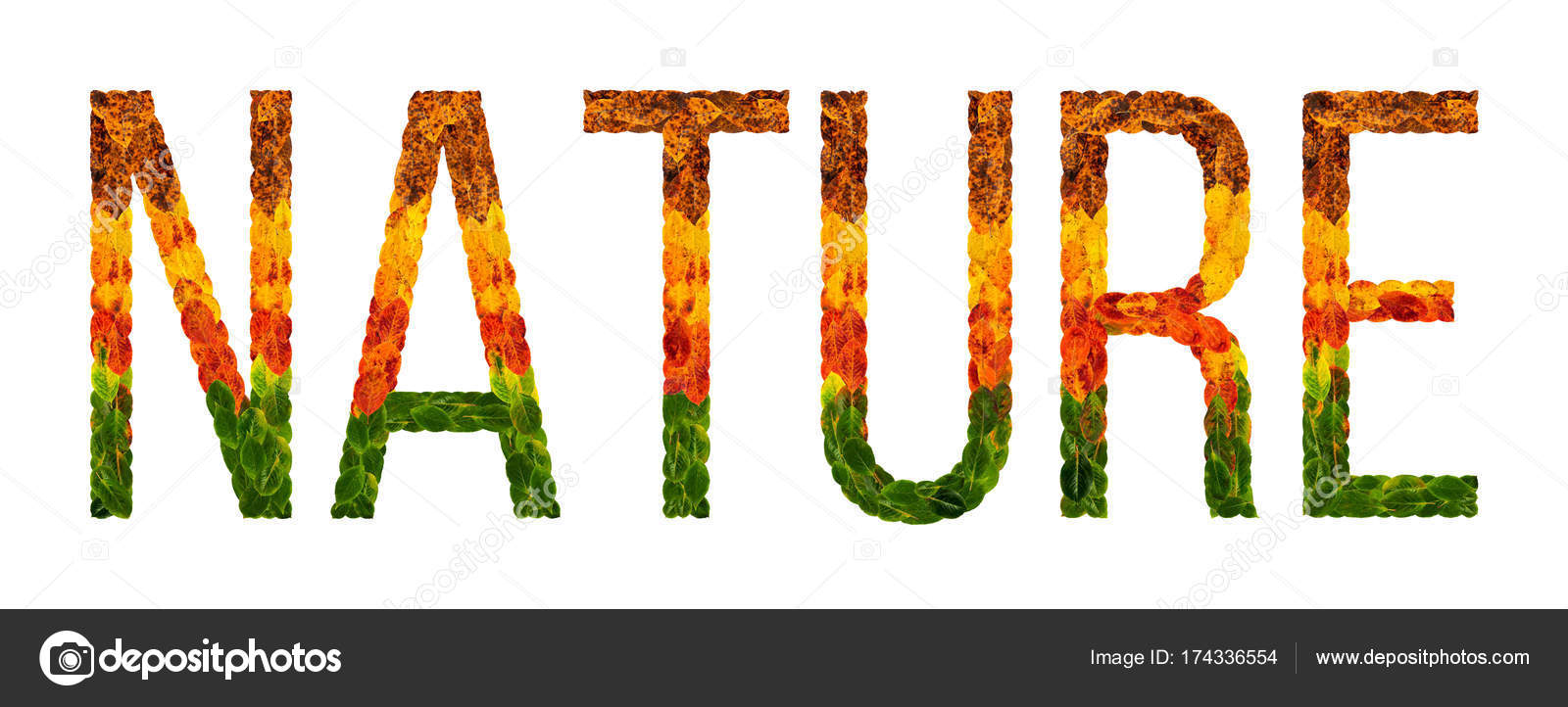 Word nature written with leaves white isolated background, banner for ...