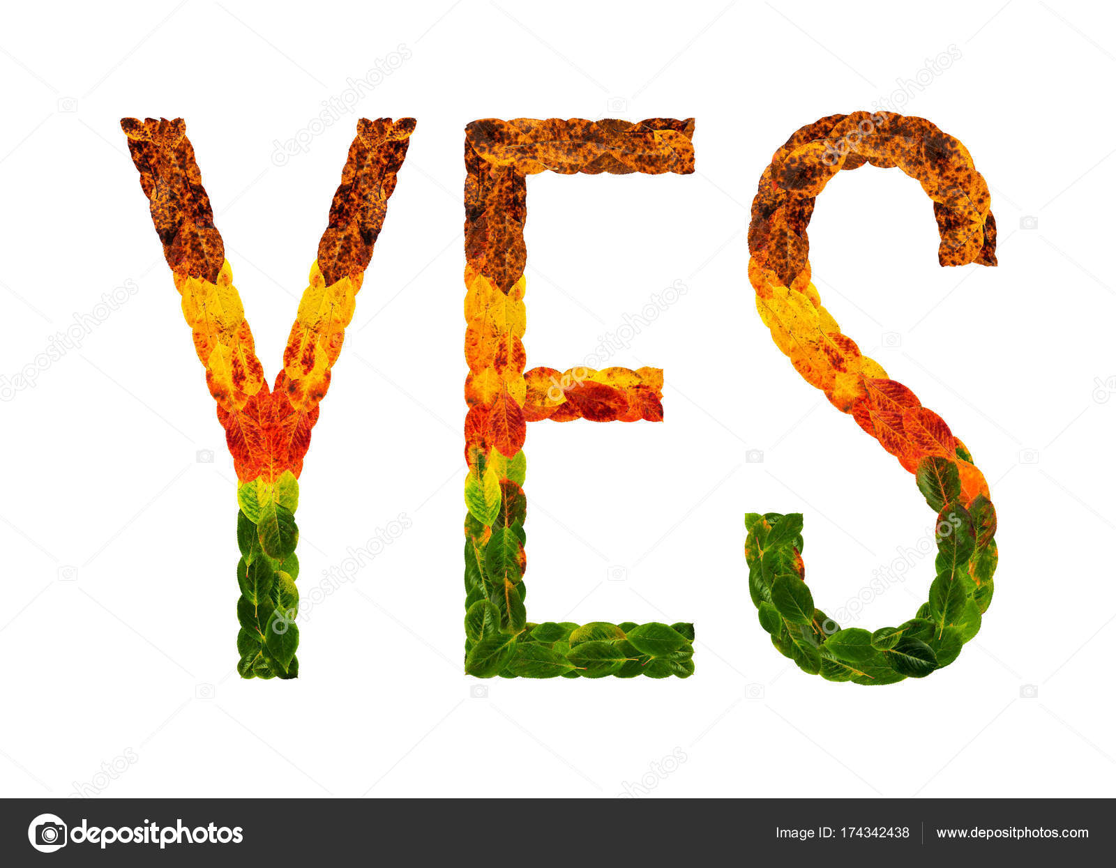 Word yes written with leaves white isolated background, banner for ...