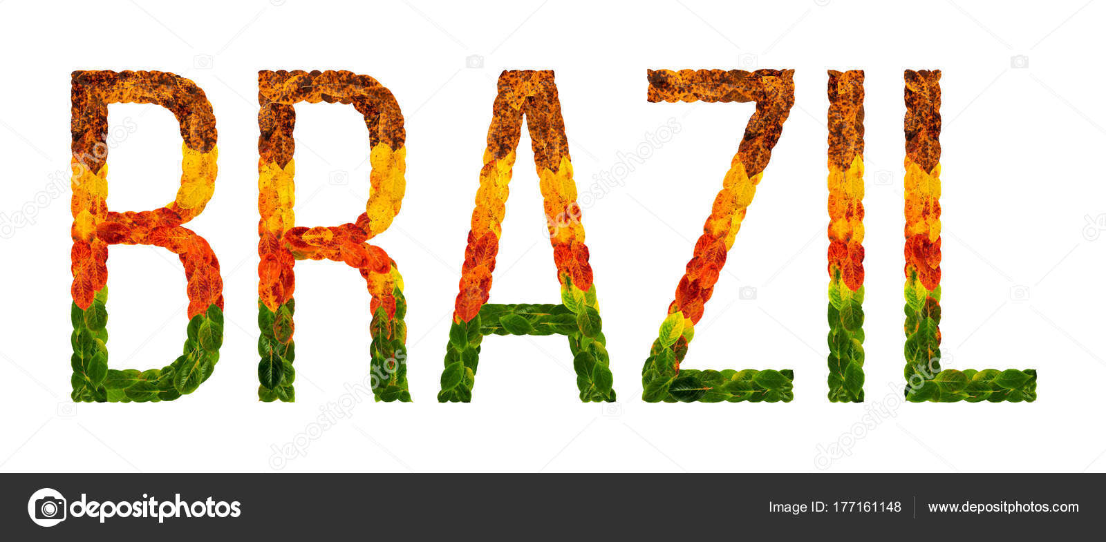 Word brazil country is written with leaves on a white insulated ...