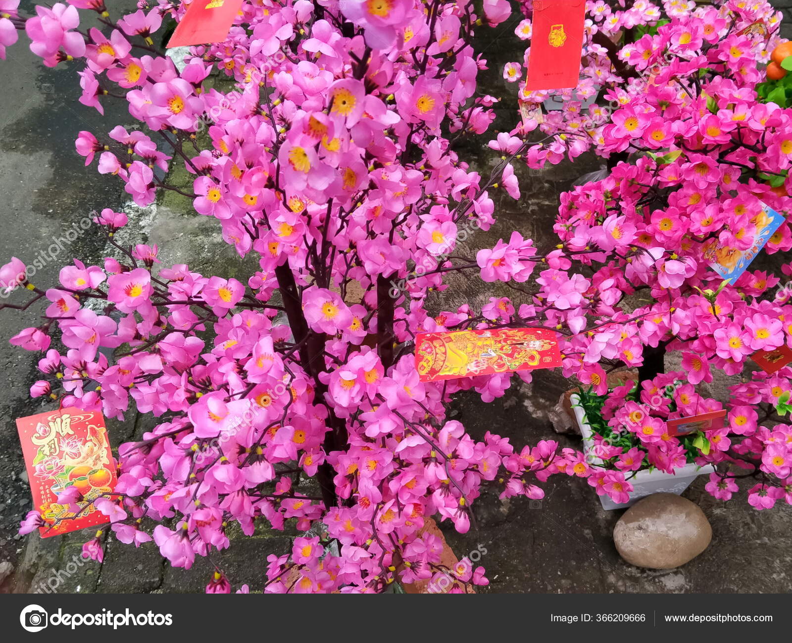 Glodok West Jakarta January 2020 Chinese Sincia Angpao Meihua Sakura ...