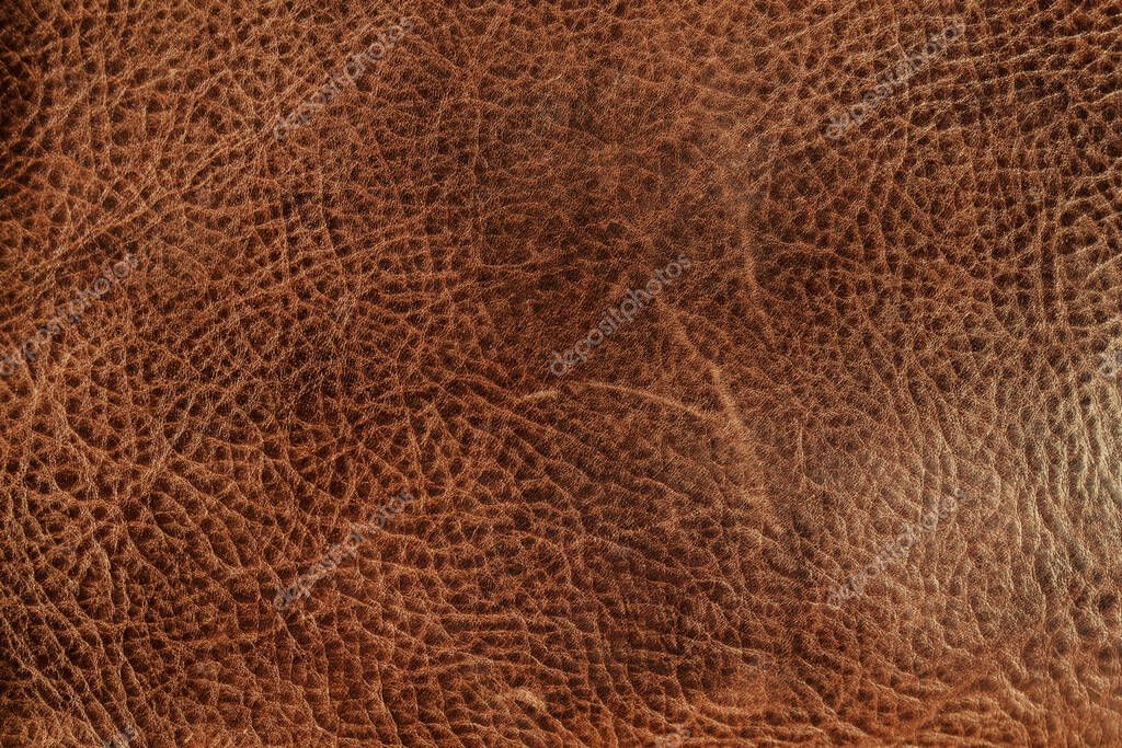 Fondo o textura de cuero 2023