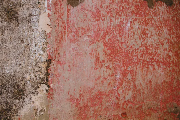 About mold Stock Photos, Royalty Free About mold Images | Depositphotos