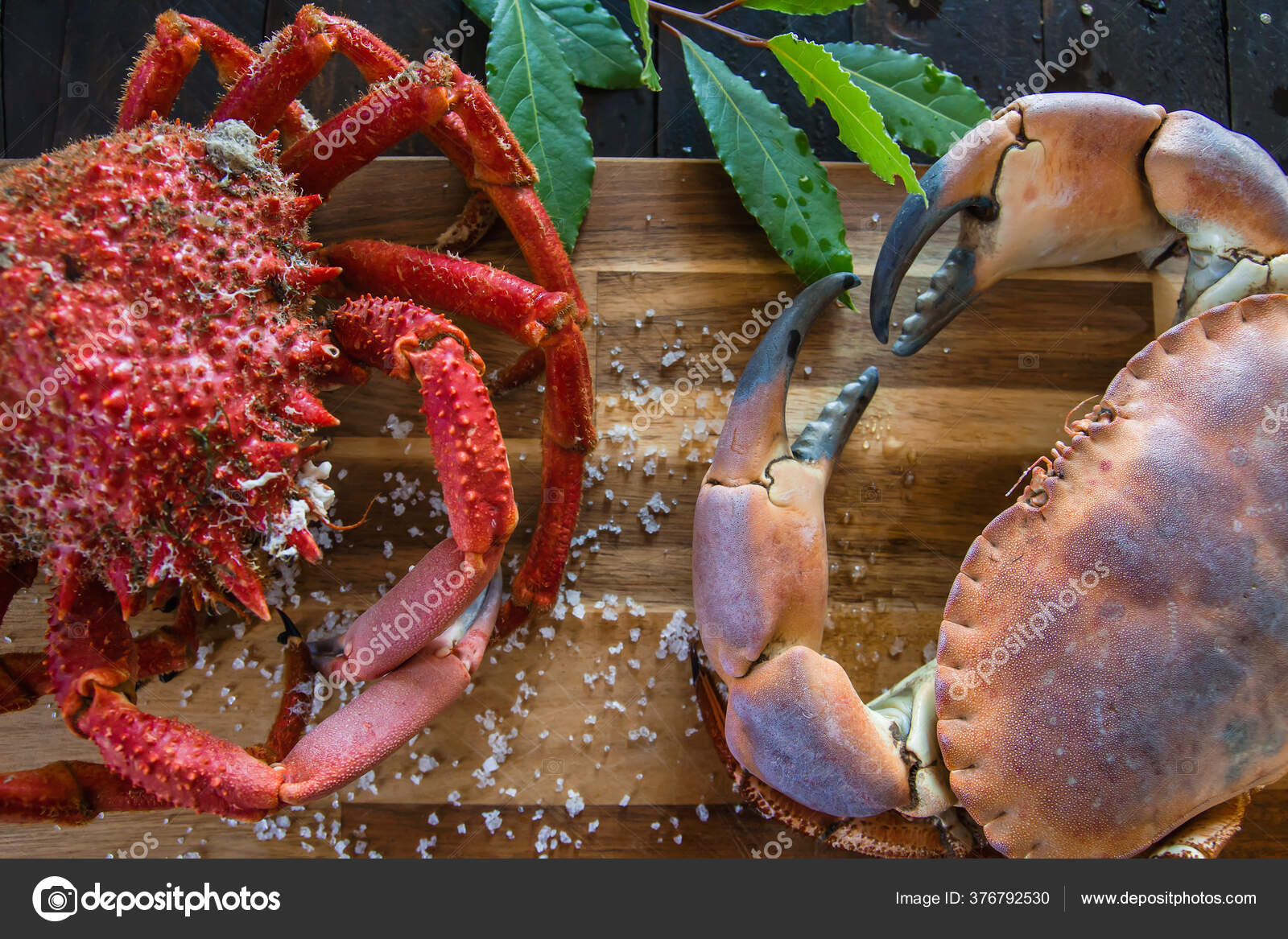 Seafood Preparation Spiny Spider Crab Brown Crab Woo Stock Photo by ...