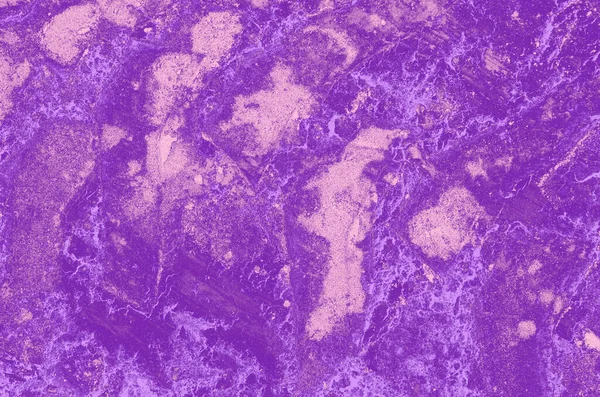 Medula renal Stock Photos, Royalty Free Medula renal Images | Depositphotos