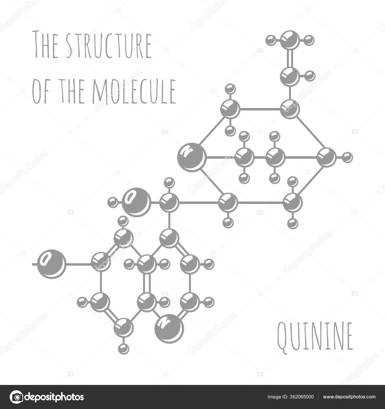 Polymers Chemical Production Structure Polymeric Molecules ⬇ Vector ...