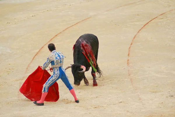 Torero mexico Stock Photos, Royalty Free Torero mexico Images ...