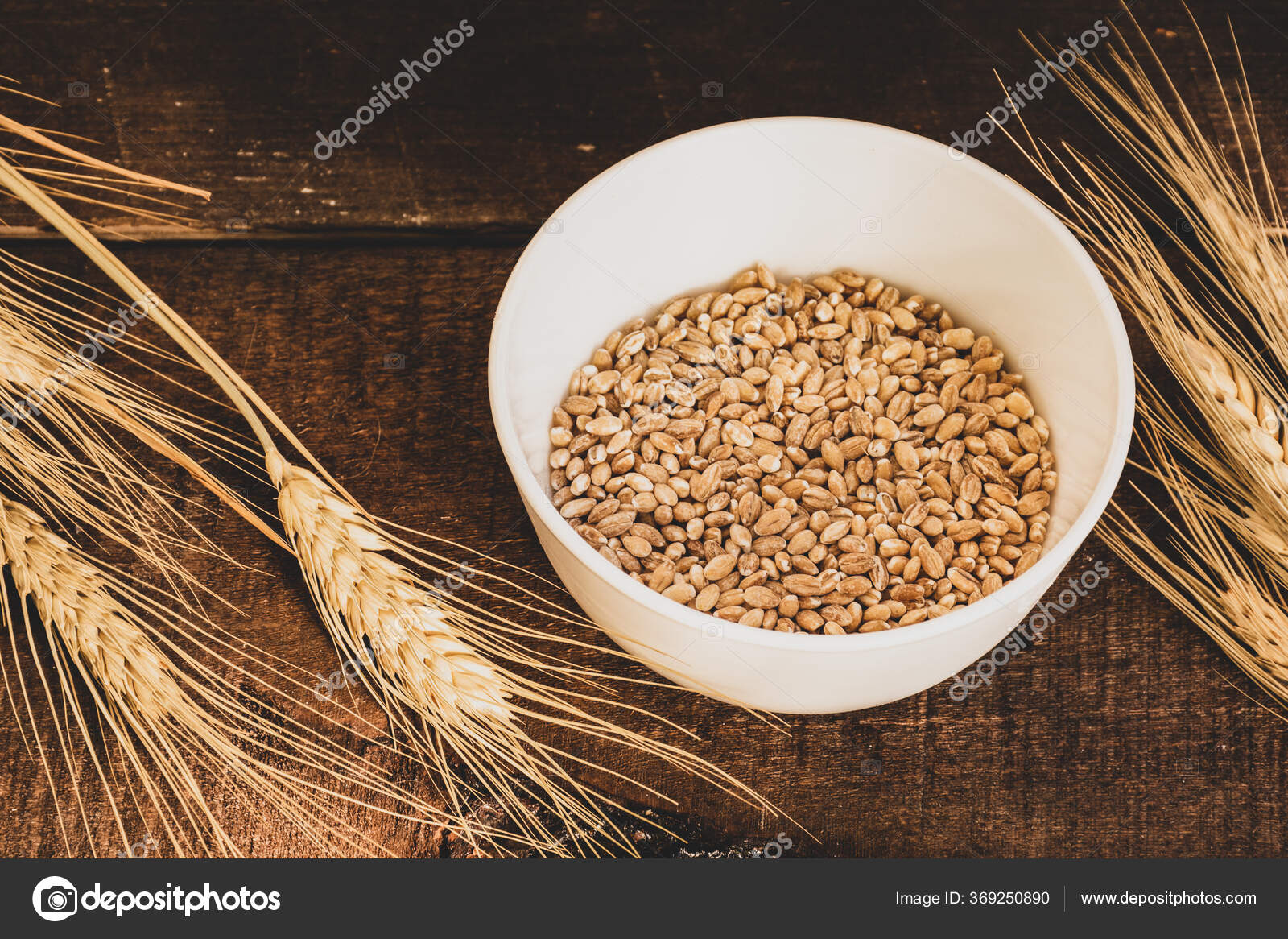 Grain Plate Ear Wheat — Stock Photo © irinagutyryak #369250890