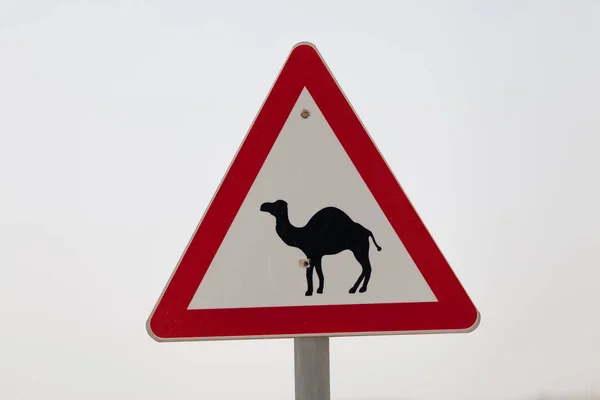 Camel crossing sign Stock Photos, Royalty Free Camel crossing sign ...