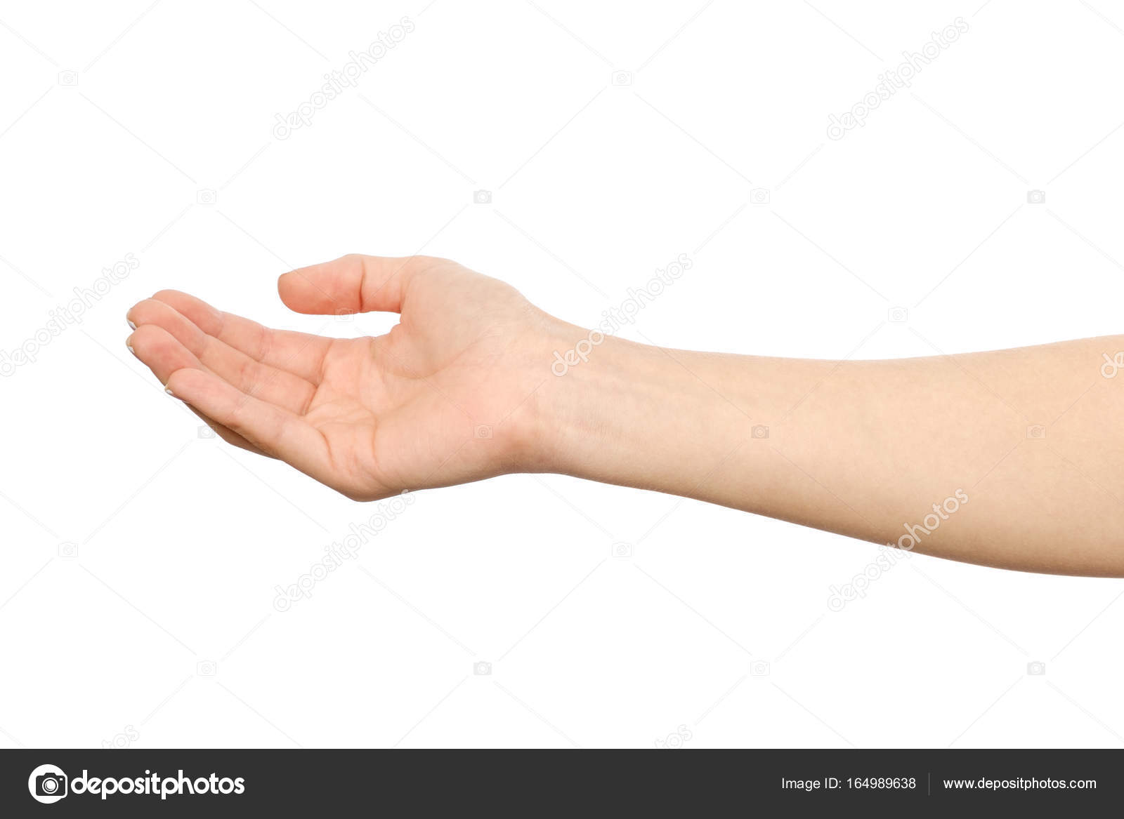 Woman's open palm isolated on white — Stock Photo © filistimlyanin ...