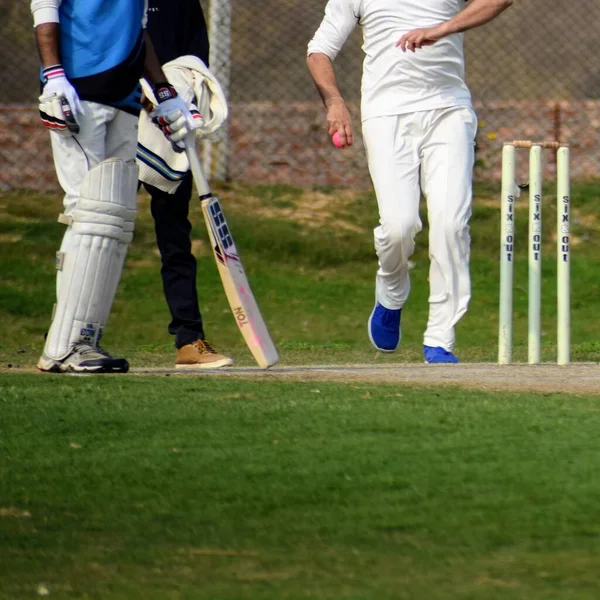 Cricket match Images - Search Images on Everypixel