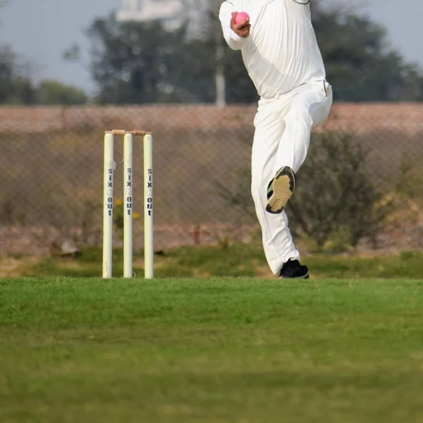 Cricket match Images - Search Images on Everypixel