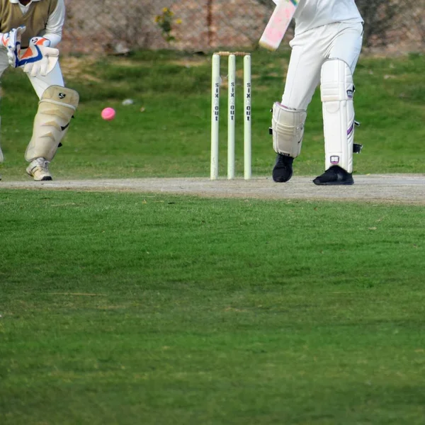 Cricket match Images - Search Images on Everypixel