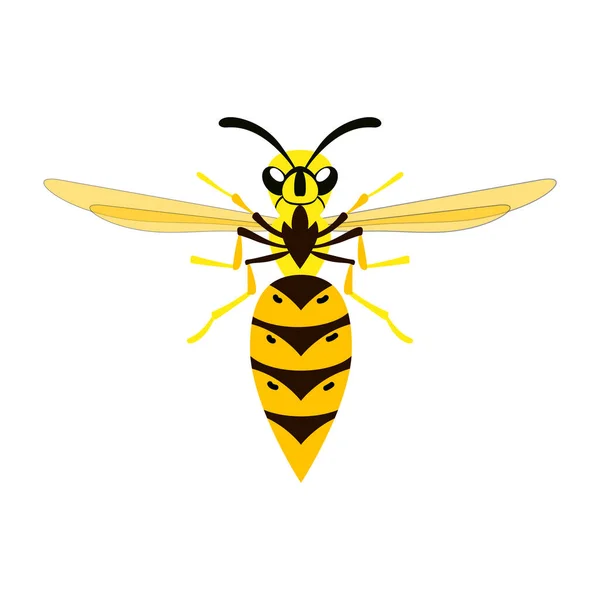 Cartoon Scared Yellow Jacket