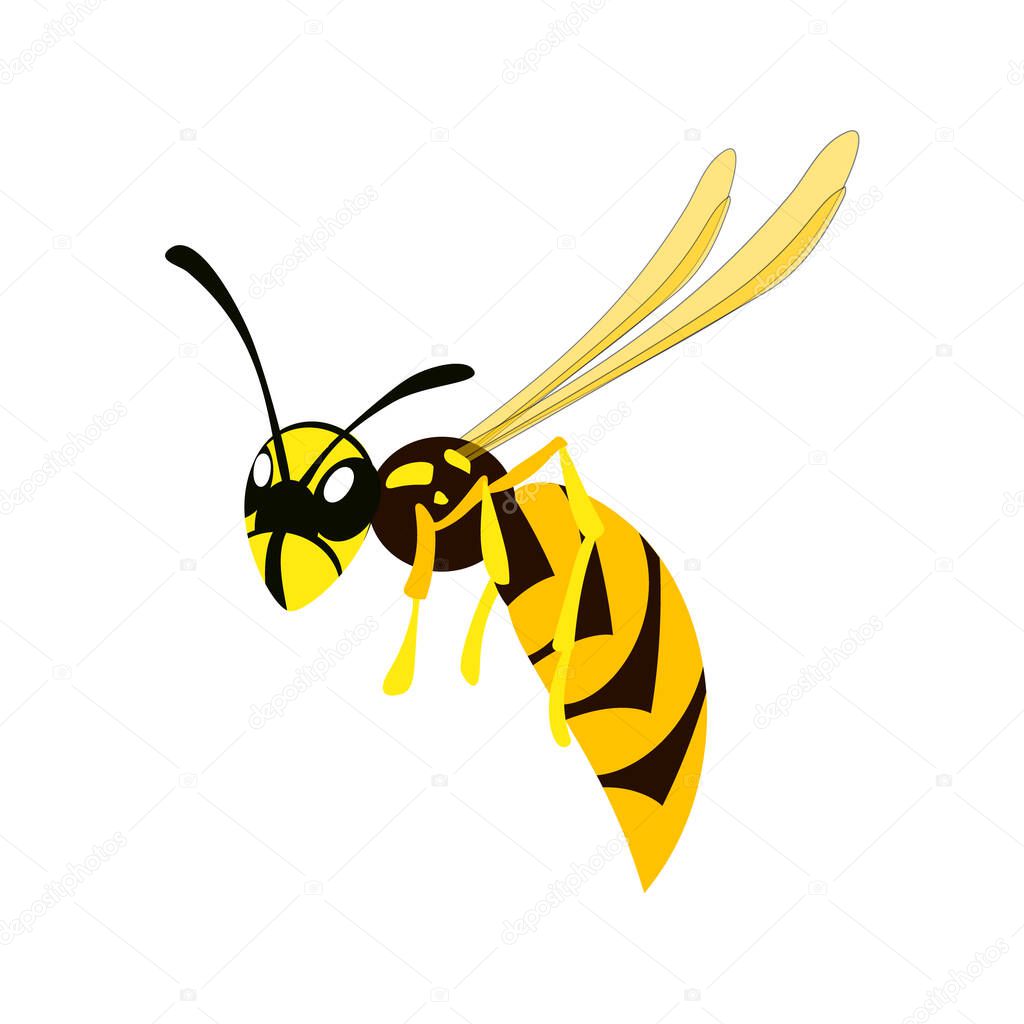 Icono colorido del vector de avispa aislado sobre fondo blanco. Estilo ...
